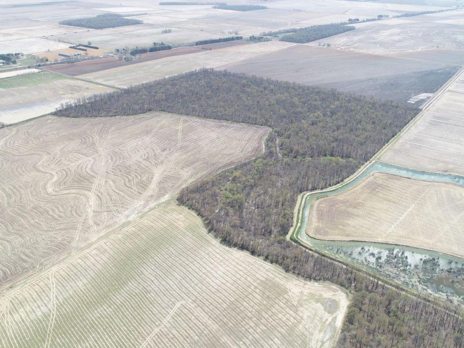 White Oaks Bayou DeView | White Oak Development